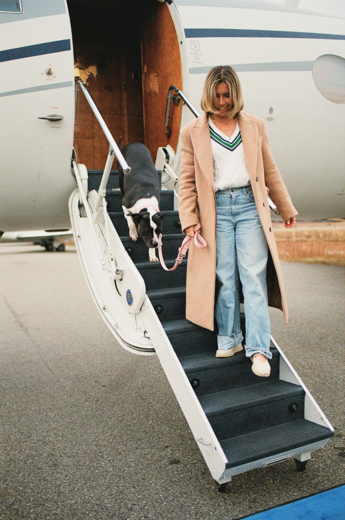 BARK Air - A New Breed of Travel