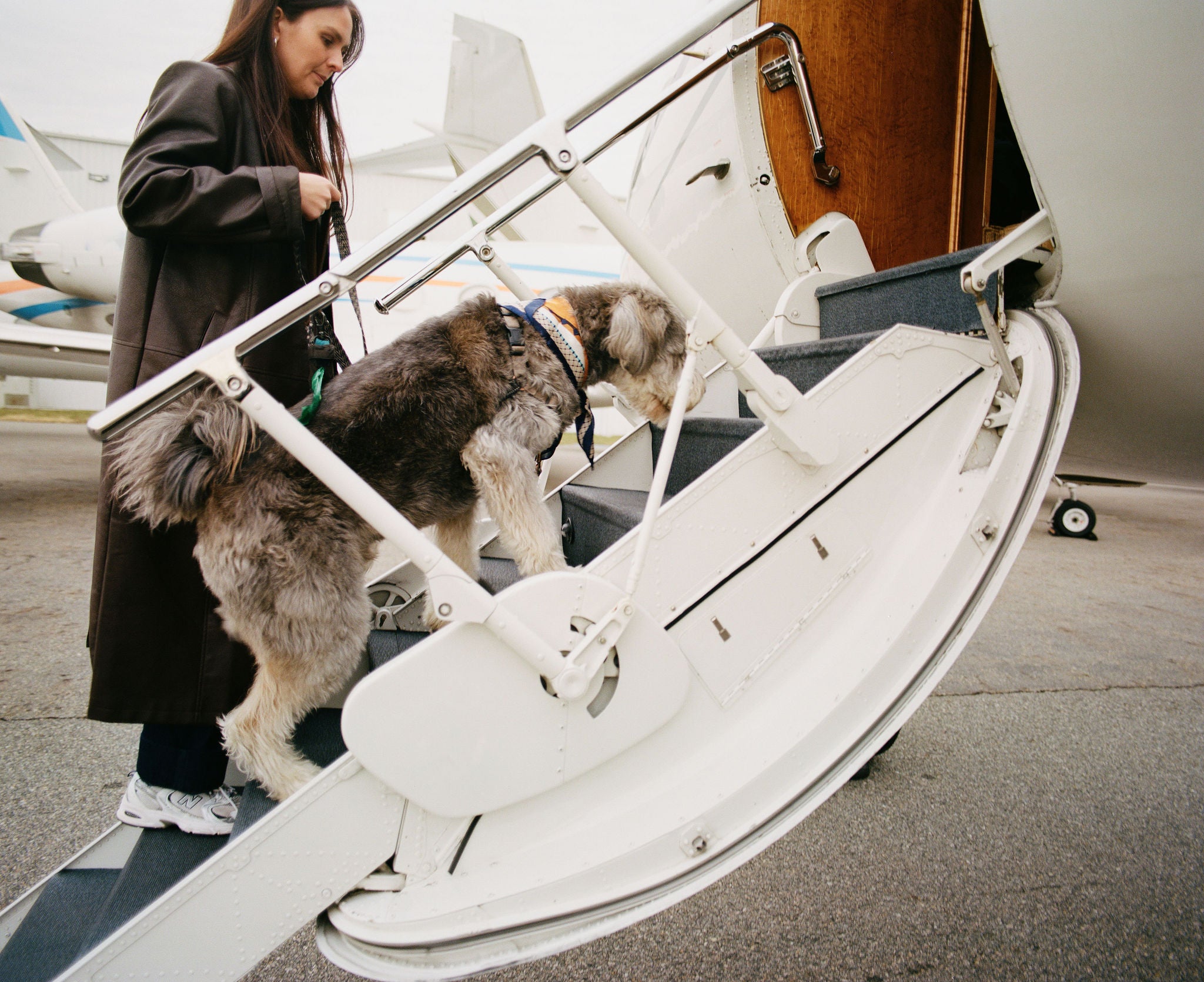 BARK Air - A New Breed of Travel
