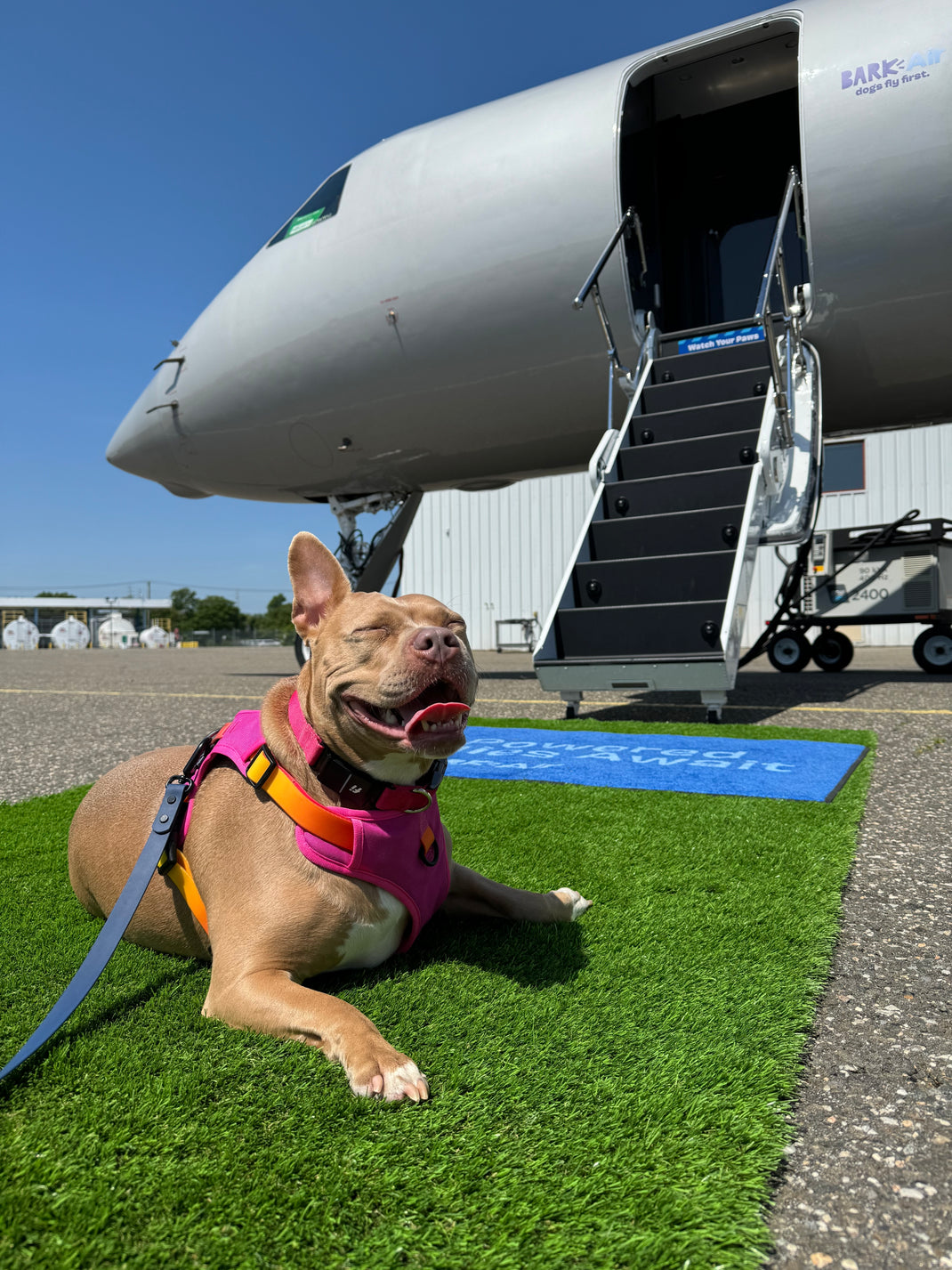 Private Charters – BARK Air