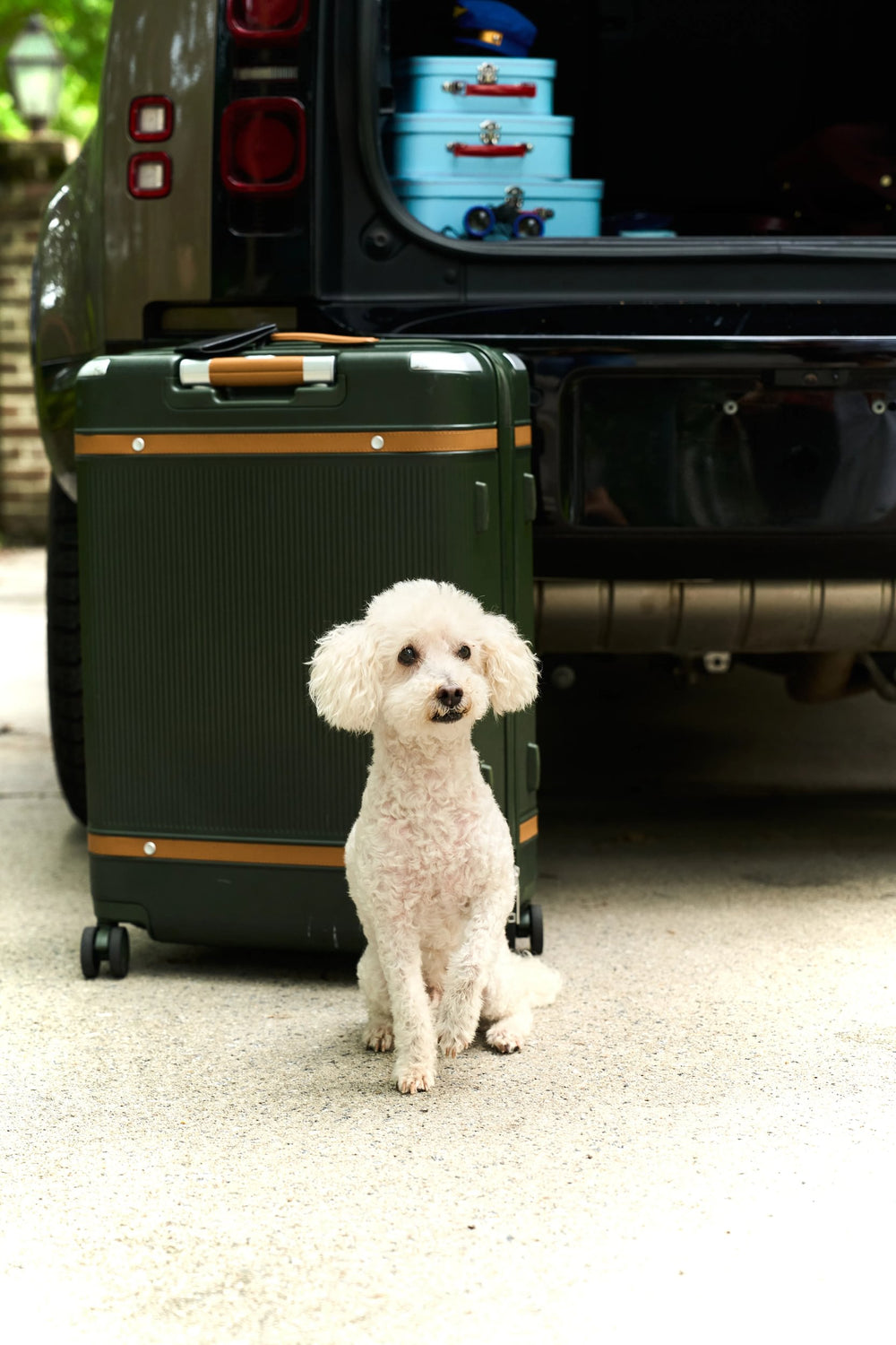 Experience – BARK Air