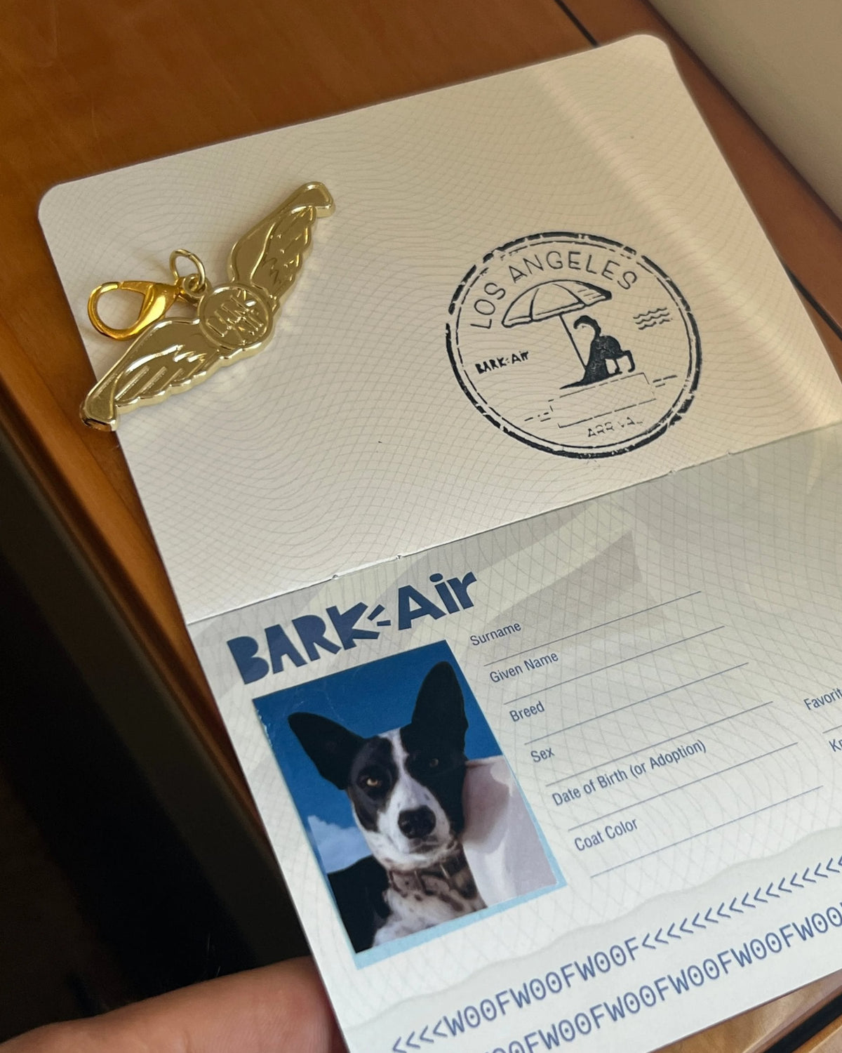 Experience – BARK Air