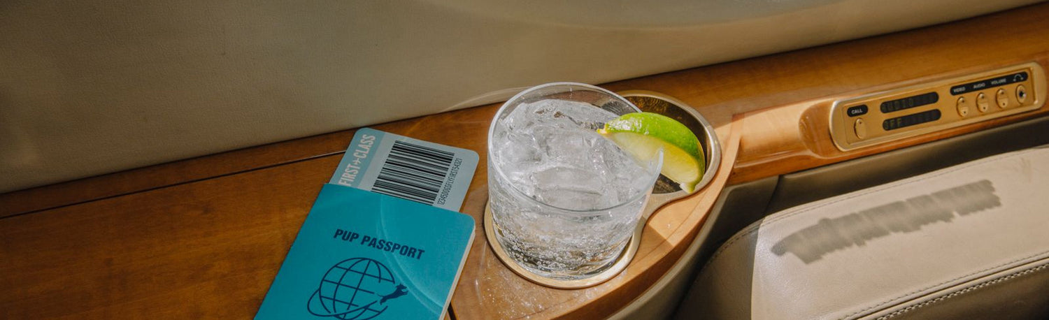 Private Charters – BARK Air