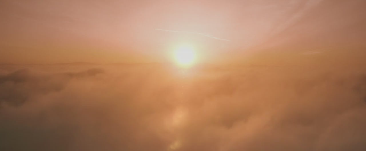 BARK Air - Revolutionizing flying for dogs | NY, LA, London, & more